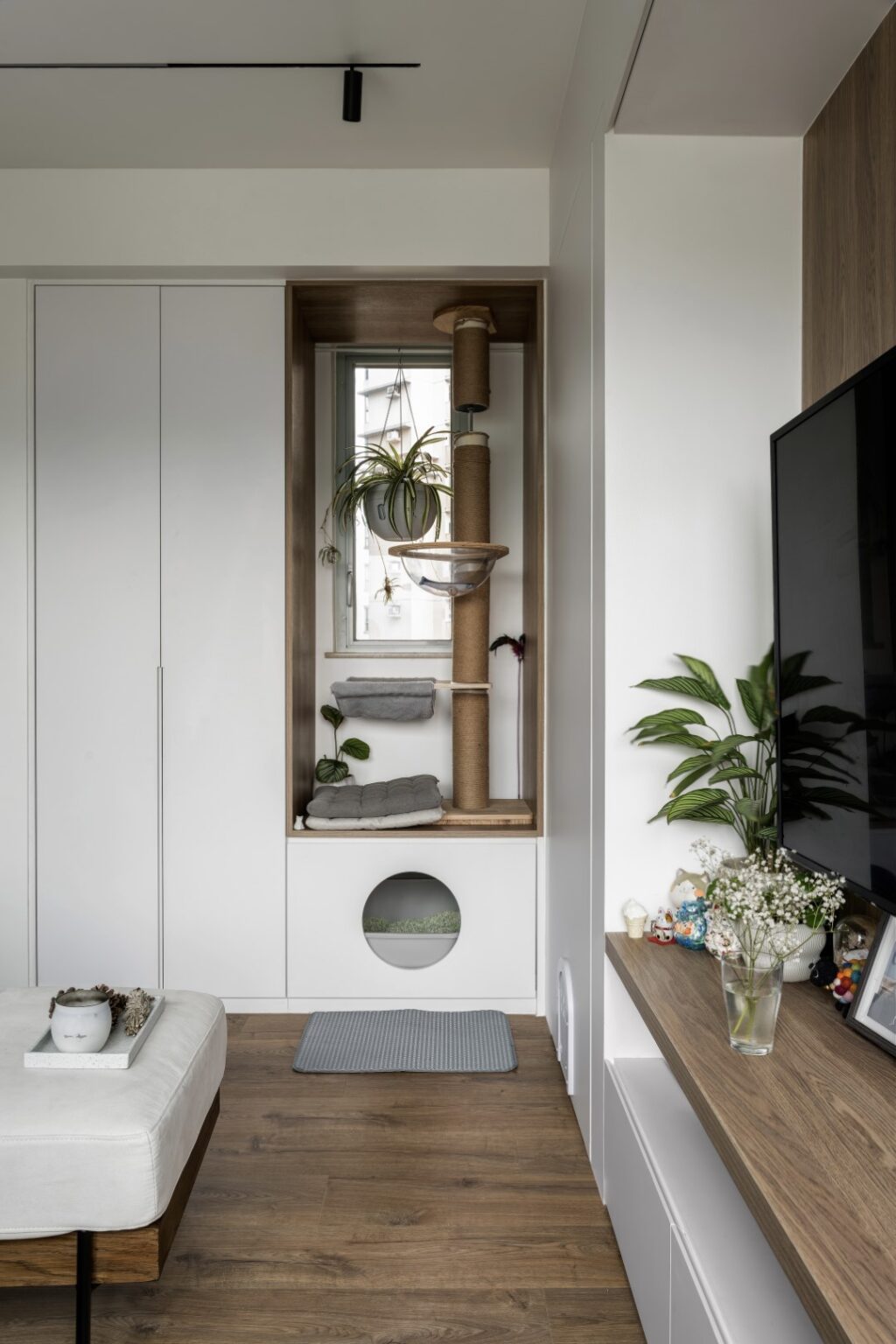 Pet-Friendly Interior Design in Hong Kong